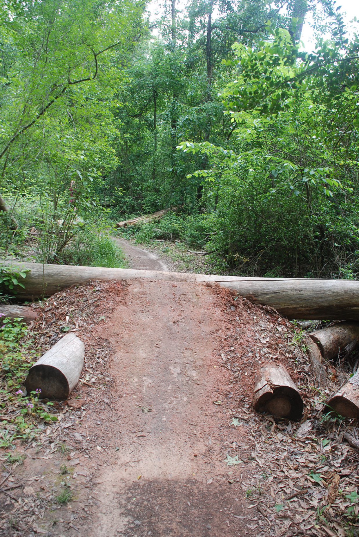 100 Acre Wood Preserve Houston TX - Places to Visit in Houston TX